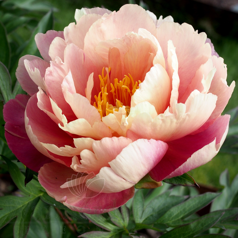 Unable to fetch data.